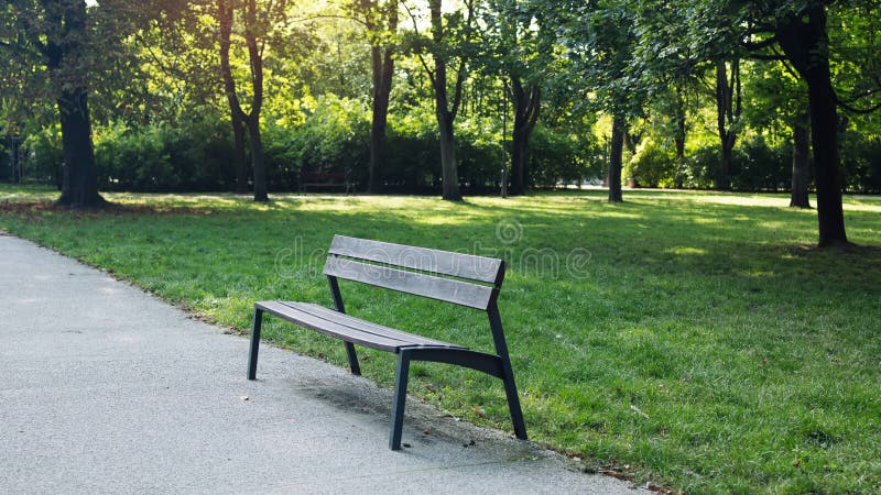 Exploring Tranquility on a Secluded Park Bench Surrounded by Lush ...