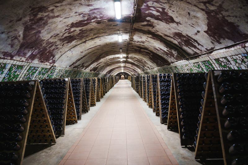 Exploring Underground Wine Cellar Rows Bottles Wooden Racks Stock ...