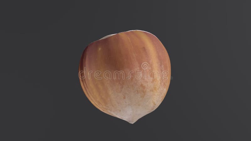 Exploring the Unique Structure and Texture of a Hazelnut in Detail ...