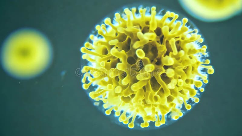 Exploring the Viral Yellow Cells Under a Microscope in a Laboratory ...