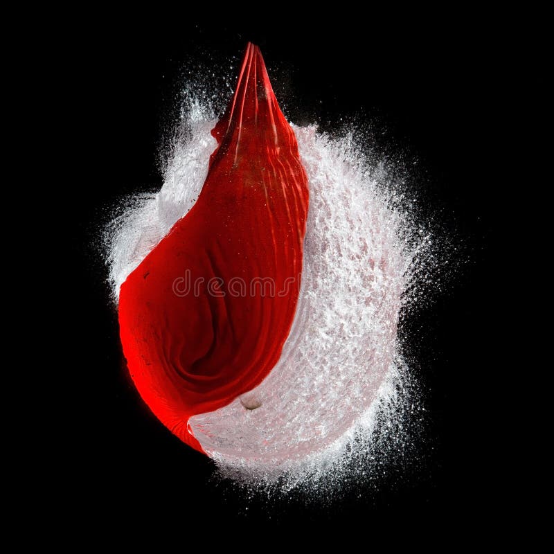 Explosão do balão de água imagem de stock. Imagem de parede - 62455085