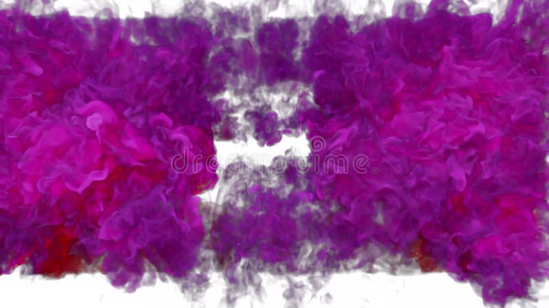 Explosion of Pink Purple Smoke on a White Background. Stock Footage ...