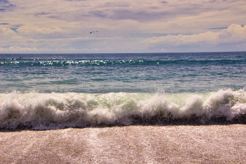 Explosion of a Wave of the Sea Stock Photo - Image of explodes, trees ...