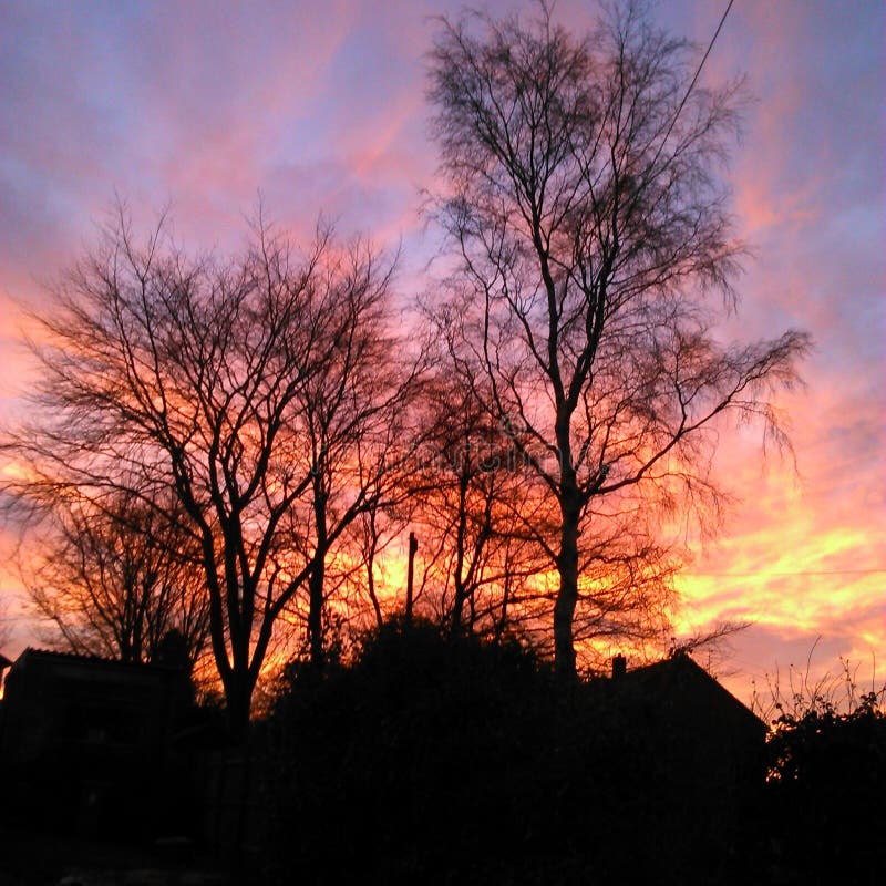 Sundown stock photo. Image of explosive, purple, sundown - 51003924