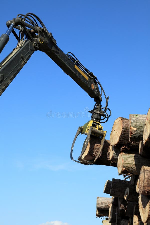 Explotación de madera imagen de archivo. Imagen de silvicultura - 19221745