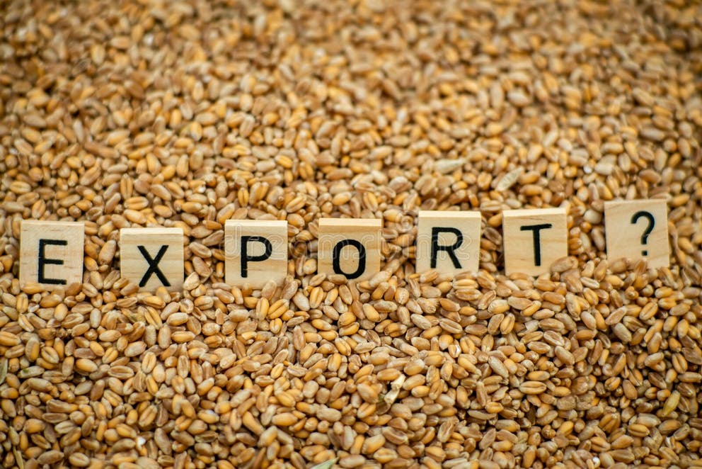 Export Grain, Wheat Concept. the Word Export and a Question Mark on a ...