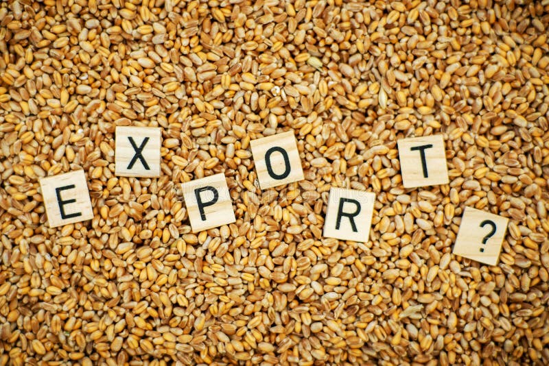 Export Grain, Wheat Concept. the Word Export and a Question Mark on a ...