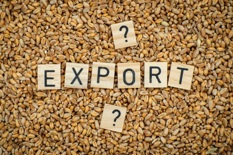 Export Grain, Wheat Concept. the Word Export and a Question Mark on a ...