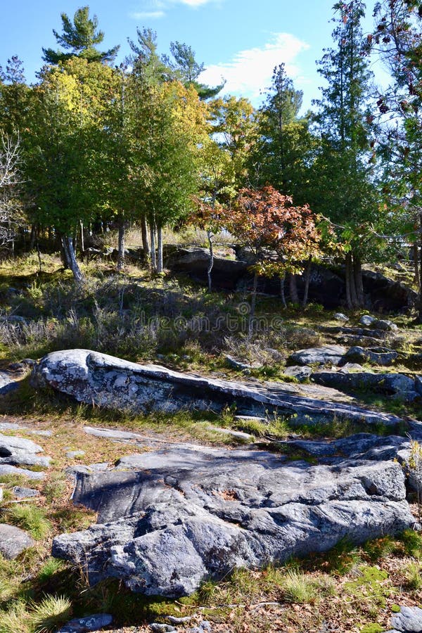 Exposed Bedrock and Colourful Trees Along Killbear S Lighthouse Point ...