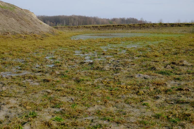 The Exposed Bottom of a Dry Pond. a Shallow Water Body Stock Photo ...