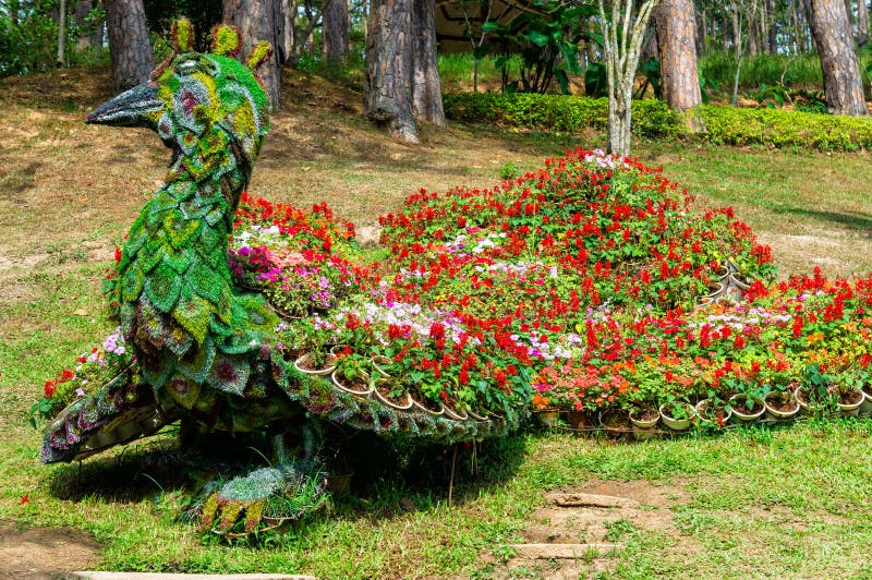 An Exposition of Flowers in the Shape of a Peacock in a Park in the ...