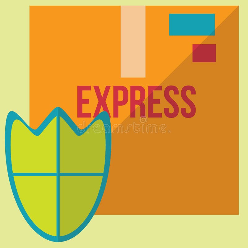 Express Delivery Box with Shield. Vector Illustration Decorative Design ...