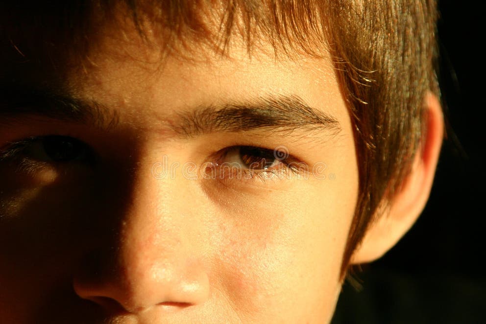 Expressive eyes stock image. Image of look, nose, mixed - 198689