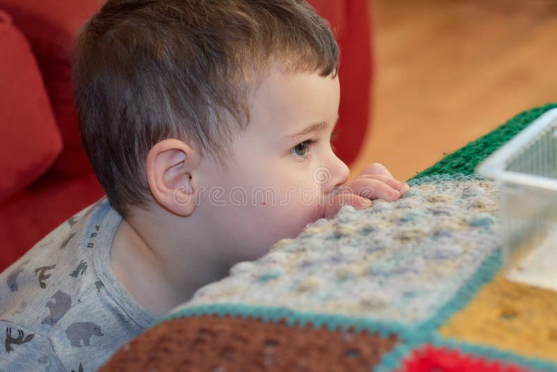 Expressive Young Boy Portrait Stock Image - Image of head, biracial ... Expressive Young Boy Portrait Stock Image - Image of head, biracial ...
