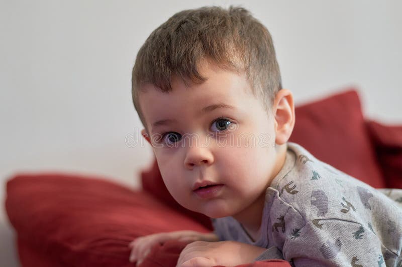 Expressive Young Boy Portrait Stock Image - Image of close, living ... Expressive Young Boy Portrait Stock Image - Image of close, living ...