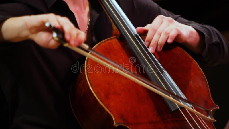 Expressive Young Man Plays Cello Sitting on Stage, Stock Video - Video ...