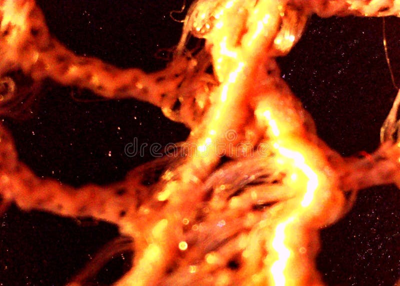 Exquisite Bright Fancy Mesh Net. a Fragment of Fabric, Textiles in ...