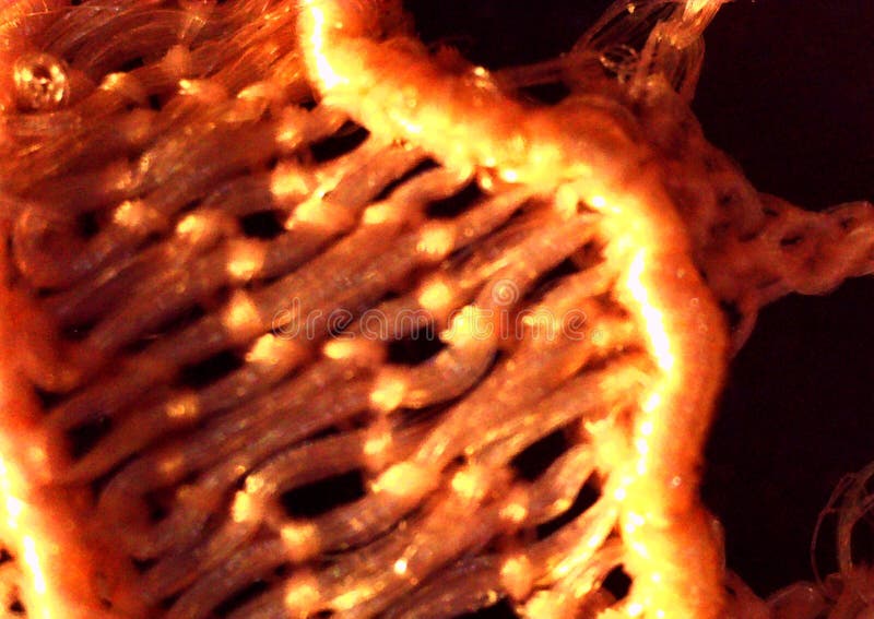 Exquisite Bright Fancy Mesh Net. a Fragment of Fabric, Textiles in ...