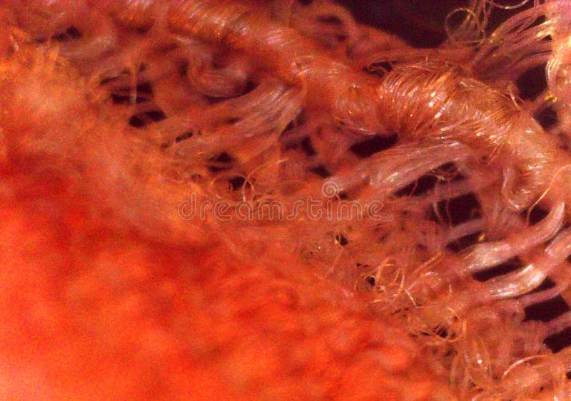 Exquisite Bright Mesh Net. a Fragment of Fabric, Textiles in Detail ...