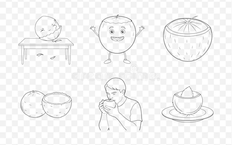 Exquisite Coconut Line Art Vector Illustrations for Tropical Designs ...