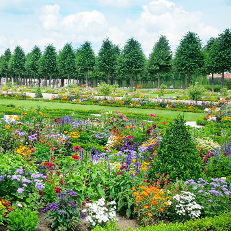 Exquisite Flower Bed in a Public Park. a Bright Sunny Day Stock Photo ...