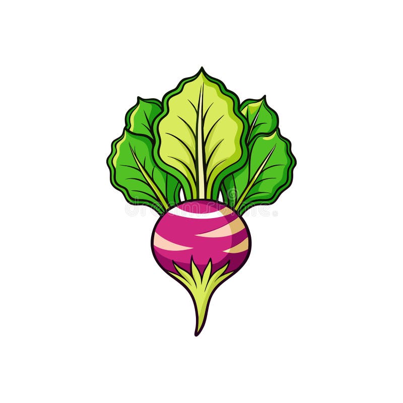 Exquisite Indian Turnip Flower Bright Design Stock Illustration ...