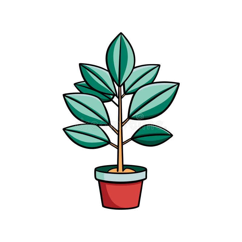 Exquisite Rubber Tree Houseplant Design Stock Illustration ...