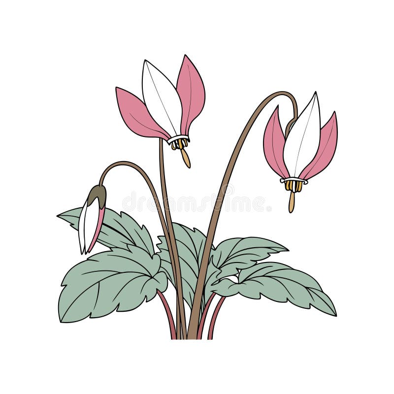 Exquisite Shooting Star Bright Artwork Stock Illustration ...