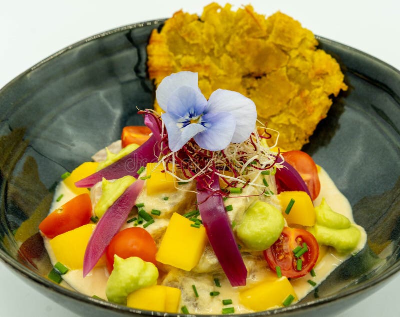 Exquisite South American Ceviche of Fresh Fish Stock Image - Image of ...