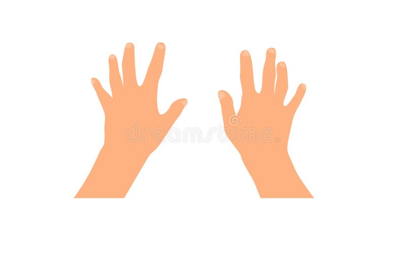 Extended Human Hands and Fingers on White Stock Vector - Illustration ...