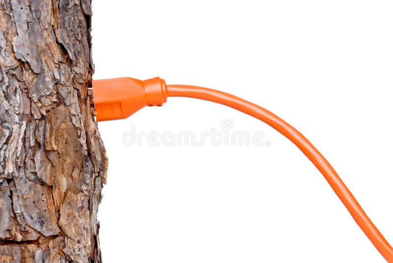 Extension Cord in a Tree Trunk Stock Image - Image of cable ...