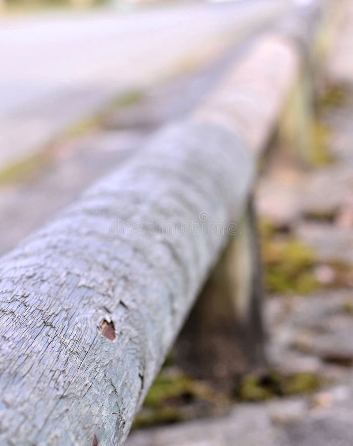 Extension of long log stock image. Image of park, scenery - 31116769