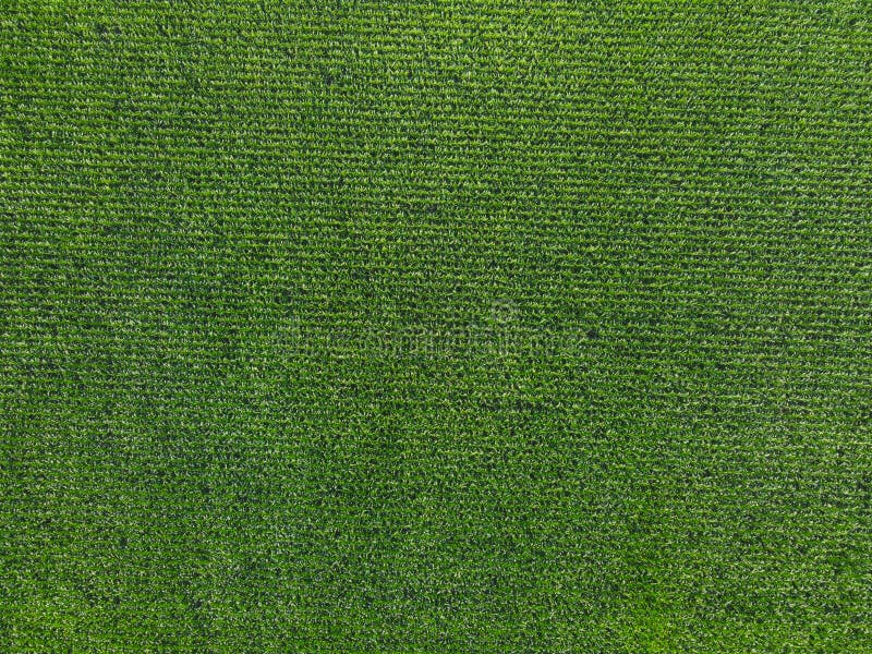 Extensive Corn Fields, Top View. Green Farm Fields, Landscape Stock ...