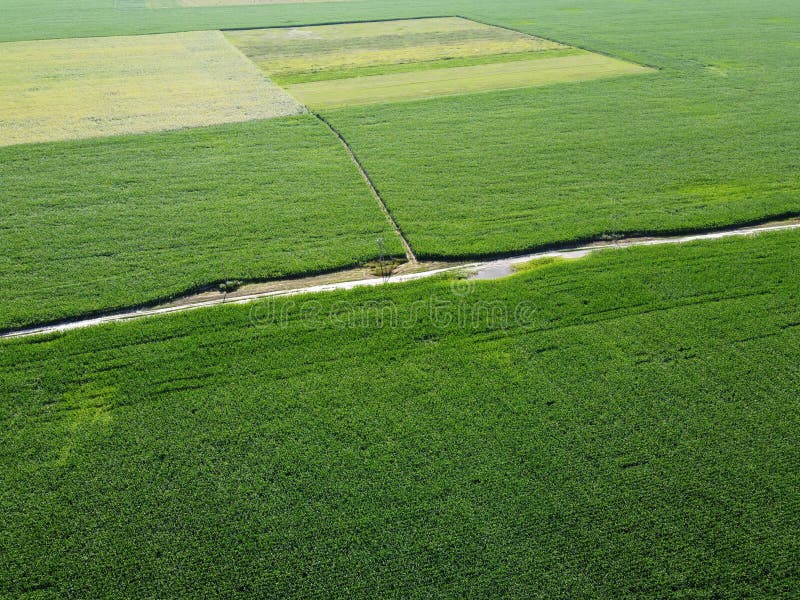 Extensive Corn Fields, Top View. Green Farm Fields, Landscape Stock ...