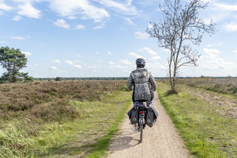 Extensive Cycle Paths through the Beautiful Heathlands Near Putten ...