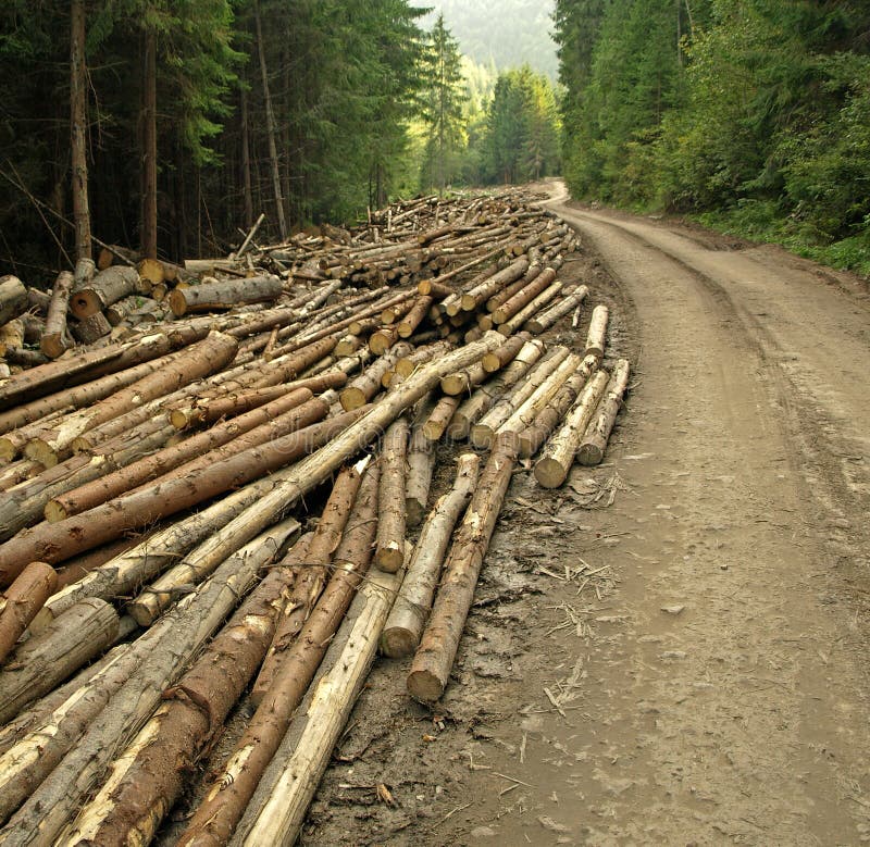 Extensive logging stock image. Image of global, environmental - 22544707