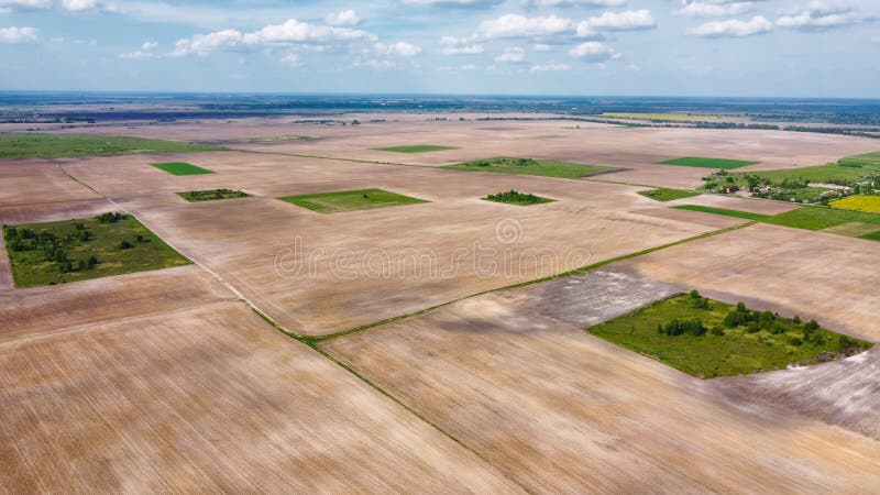 Extensive, Plowed Agricultural Fields, Aerial View. Small Green Groves ...