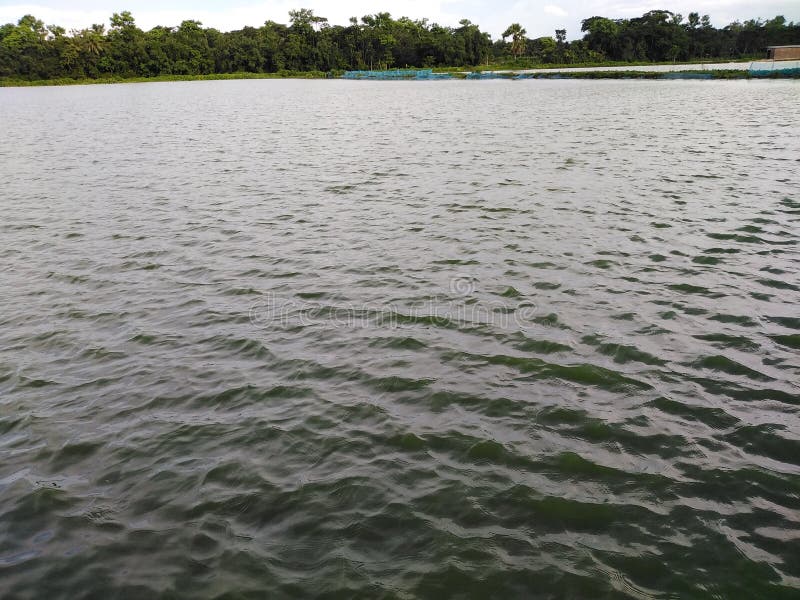 Scenes of Green Water and Green Nature. Stock Photo - Image of scenes ...