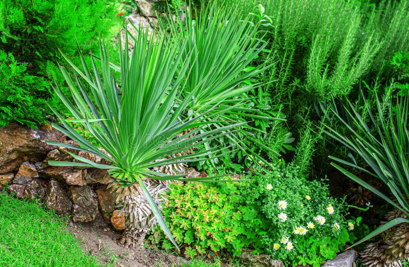 Exterior of Alpine Slide in a Garden. Stock Photo - Image of ...