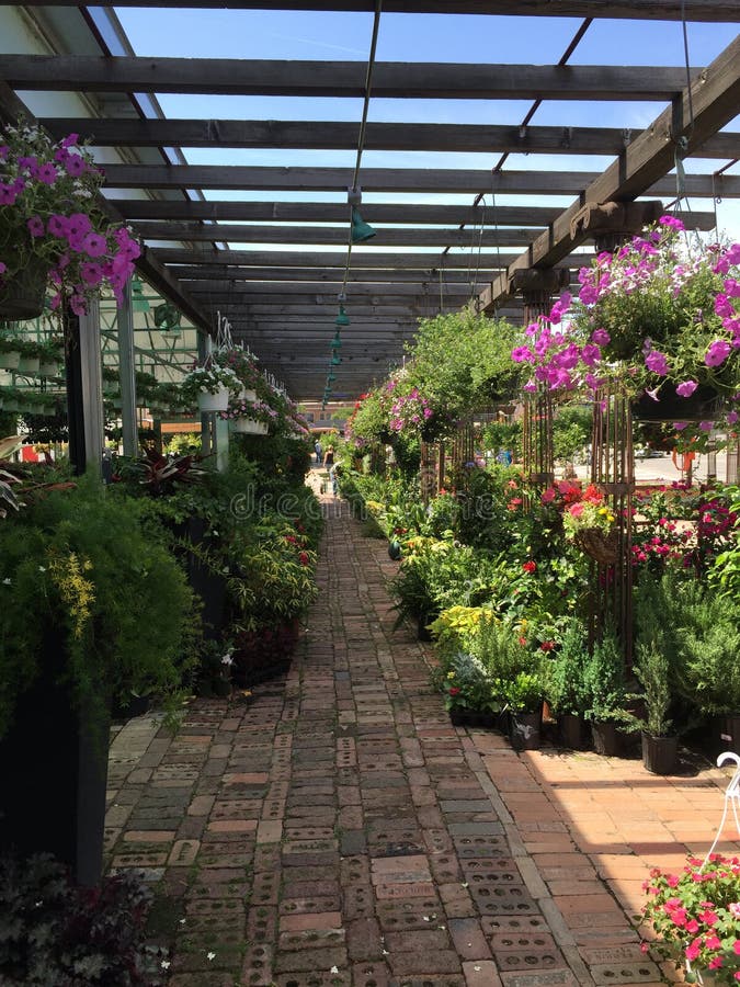 Exterior of flower store editorial image. Image of plant - 71436490