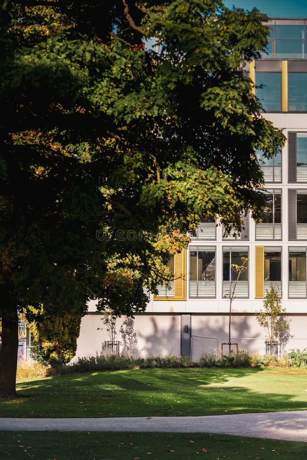 582 Office Outside People Trees Stock Photos - Free & Royalty-Free ...