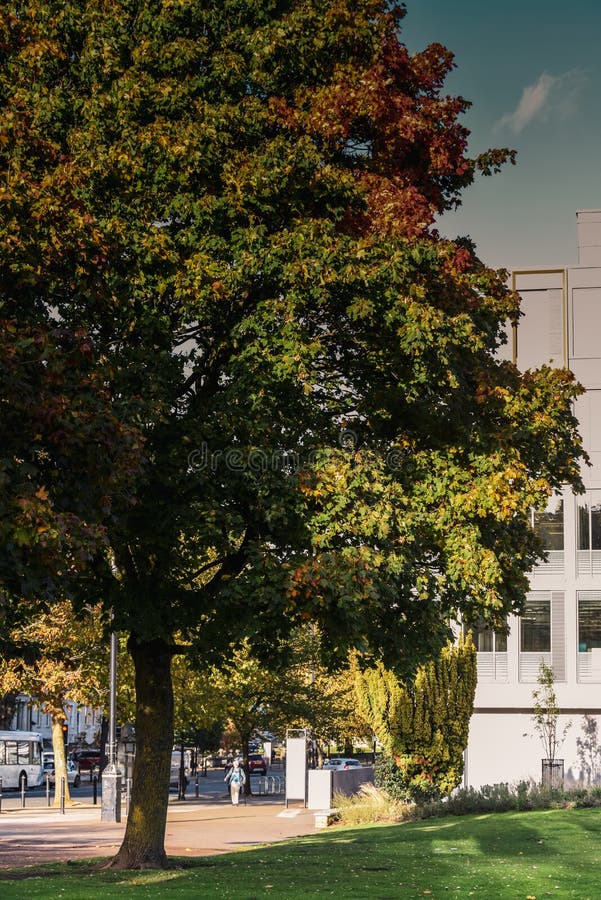 Exterior of Office Building in a City Centre with Green Space and Trees ...