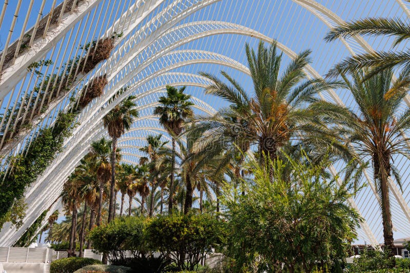 Exterior Structure of the Umbracle Modern Building with Its Greenery in ...