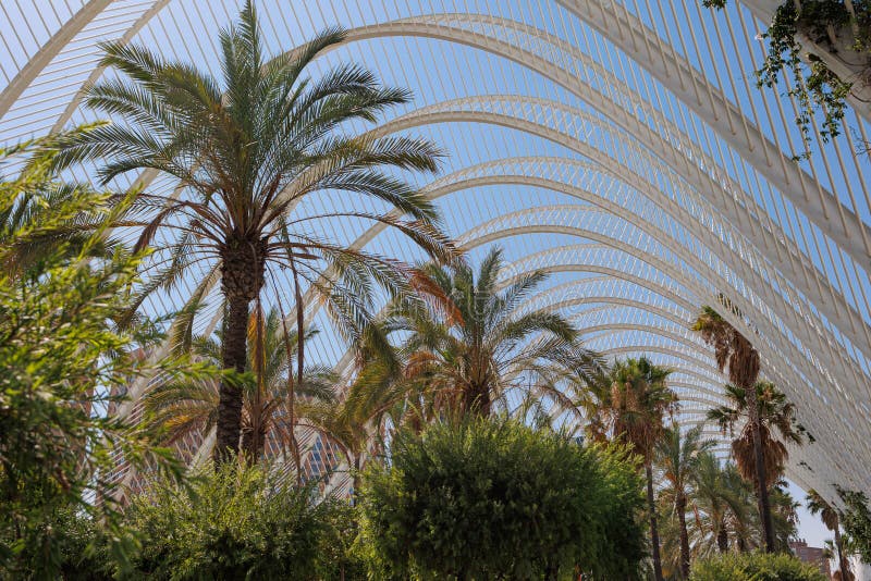 Exterior Structure of the Umbracle Modern Building with Its Greenery in ...