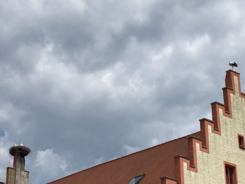 Exterior View of a Modern Building with a Birds Nest Perched on the ...