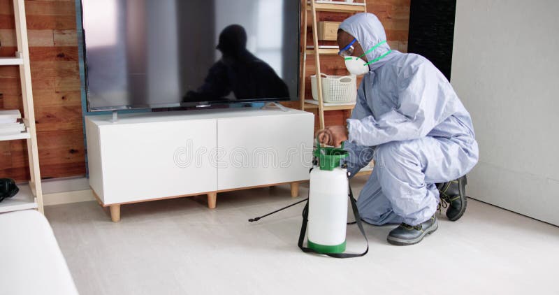 Exterminate Pest Termites stock photo. Image of side - 267707148