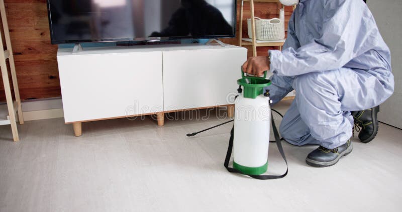 Exterminate Pest Termites stock image. Image of wall - 268250219