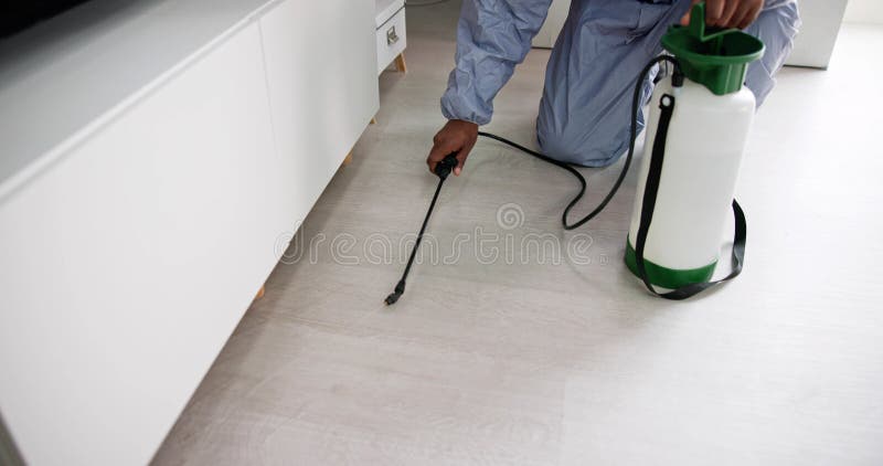 Exterminate Pest Termites stock image. Image of store - 268908951
