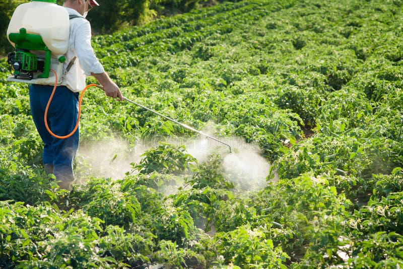 Exterminator stock image. Image of plant, manual, cultivated - 20000439