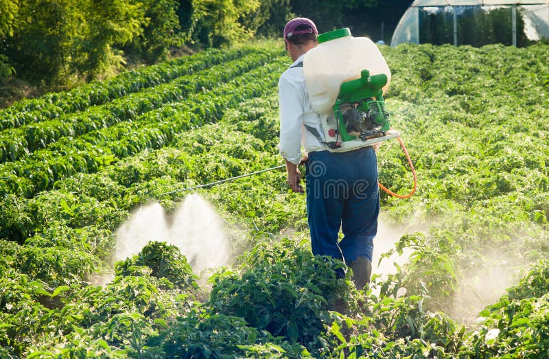 Exterminator stock photo. Image of freshness, nature - 29477620
